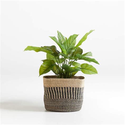 27 Faux Large Leaf Philodendron Plant Reviews Crate And Barrel