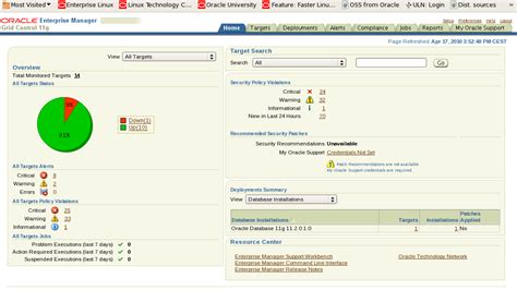 Oracle Grid Control 11g Release 1 111010 First Screenshots