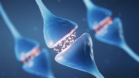 Neuron Synapse 3d