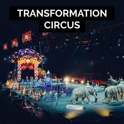 Shape Transformation Masterclass And Infosession Shiftschool