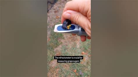 What Is A Refractometer Used For 🍇 Winesearcher Thewinecrate