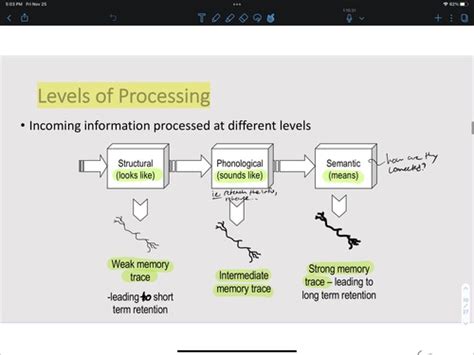 Human Memory Chapter Flashcards Quizlet