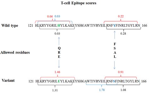 summarized iedb mhc class ii binding prediction results for hifnβ 1b t