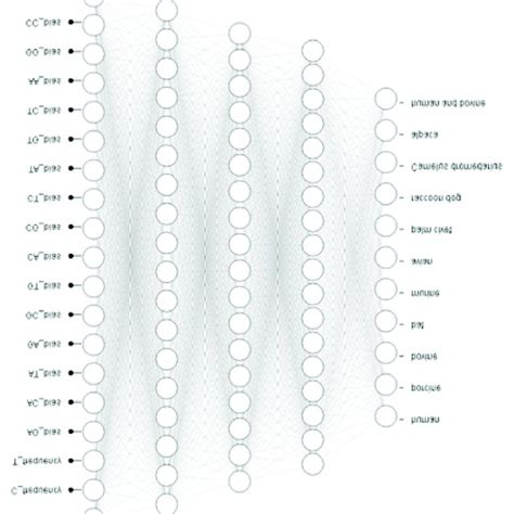 Layered Architecture Of Proposed Neural Network Download Scientific