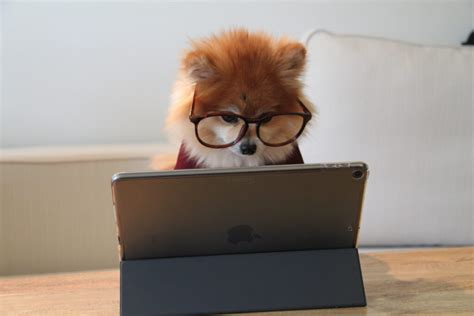 how to convert jupyter notebooks into pdf towards data science