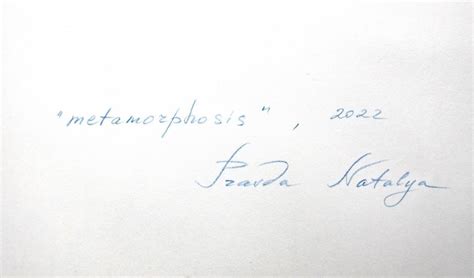 Metamorphosis 1 Drawing Natalya Pravda Jose Art Gallery