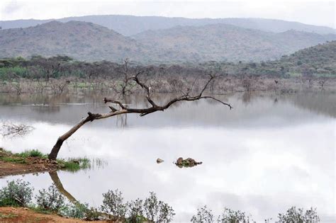 Eritrea Is Receiving Heavy Rainfall Madote