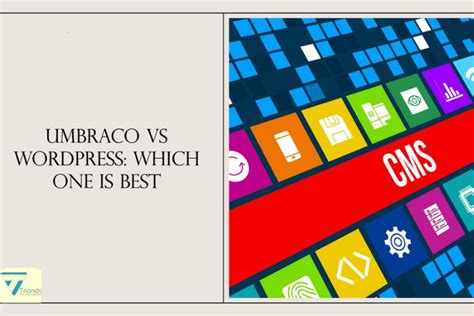 Umbraco Vs Wordpress Which One Is Best Trionds