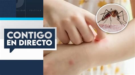 ¿cuáles Son Los Síntomas Del Dengue Y Cómo Prevenir La Presencia Del