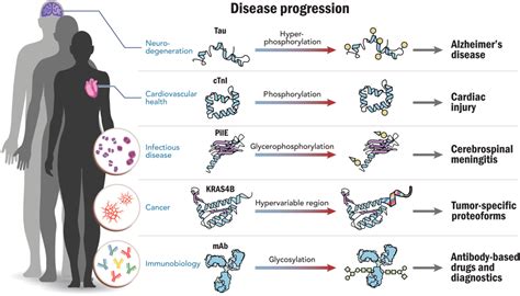 Unlocking The Human Proteome X Chem And Sgcs Collaborative Leap Into
