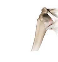 Long Island Hand To Shoulder Center Orthopaedic Surgeons Long Island Ny