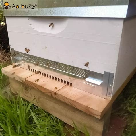 Galvanized Metal Bee Hive Entrance Reducer Apiculture Bee Keeping