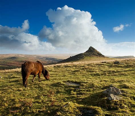 Parque Nacional De Dartmoor Fotos Banco De Fotos E Imágenes De Stock