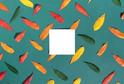 복사 공간을위한 흰색 종이 카드와 녹색 옥 배경에 화려한 단풍의 창조적 인 레이아웃 계절은 개념을 변경합니다 0명에 대한 스톡 사진 및 기타 이미지 Istock