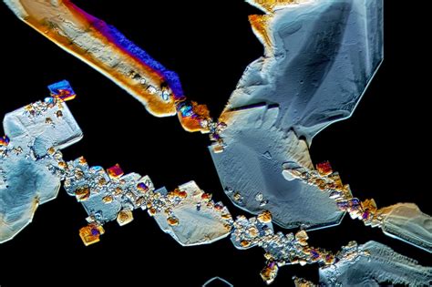 Decalcifier 10x Pol7 Focus Máté Pintér Flickr