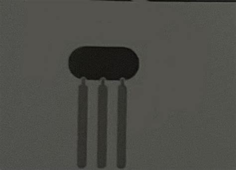 First Half Of Biology Lecture Final Exam Units 1 And 2 Flashcards Quizlet