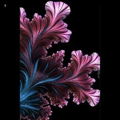 AKedOLSKAJfw S L6hJETlaMVOZW4m60qeN8NRZKarjBmIk S900 C K C0x00ffffff No
