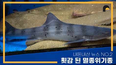 멸종위기 스페셜리스트 뉴스펭귄