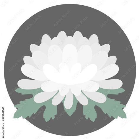 국화꽃 추모 일러스트 벡터 이미지 Stock Vector Adobe Stock