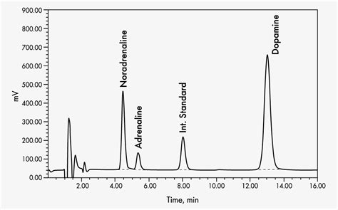 Catecholamines In Urine HPLC