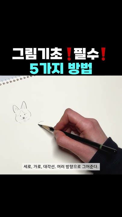 그림 초보분들 이 영상은 필수입니다 Youtube