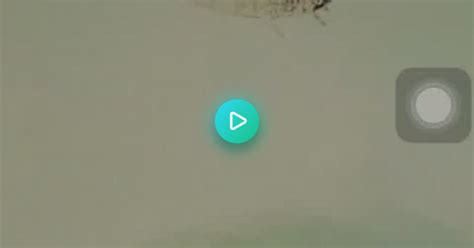 Ipogo Doesnt Work Album On Imgur