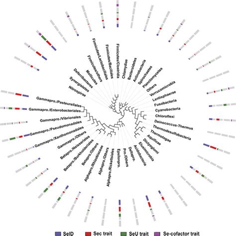 Relationship Between Se Utilization Traits And Habitat Five Types Of Download Scientific