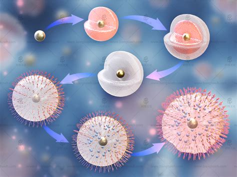 科研绘图 Sci文章插图设计 学术期刊封面设计邦图文化 站酷zcool