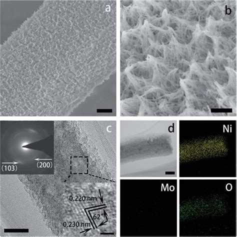 A Sem Image Of Ni Oh 2 Niooh Nf B Sem Image Of Tripodlike Ni Oh Download Scientific