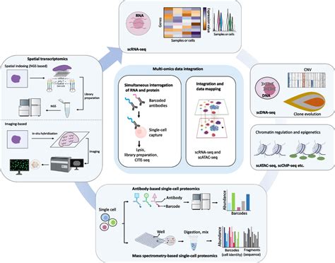 Single Cell Approaches Utilized In Disease Research Single Cell