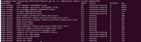 Error Moving The Management Cluster To Vsphere Unauthorized Error Issue Kubernetes