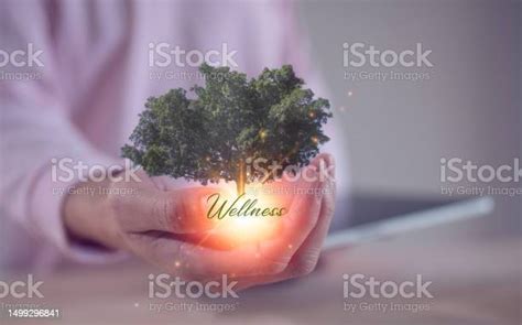 웰빙 녹색과 평화로운 세계 환경의 날 Esg 환경 사회 기업 지배 구조의 개념은 Sdg 지속 가능한 개발 목표를 위해 자원 봉사자의 손에 나무 관리를 심습니다 부귀에 대한