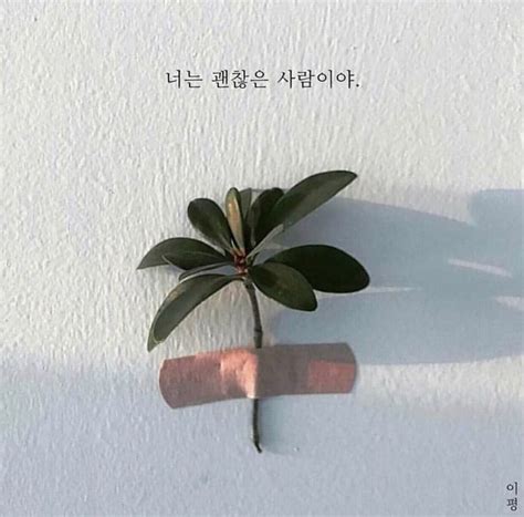 여러가지 이야기와 글에 있는 Beauty Soogi님의 핀 손글씨 동기 부여 벽지 따뜻한 문구