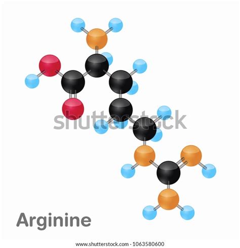 59 Omposition Stock Vectors And Vector Art Shutterstock