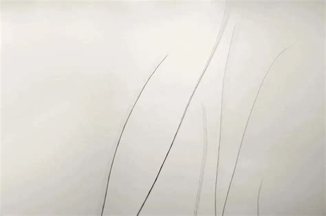 Ropes Thrown By Alex Axon Purephoto