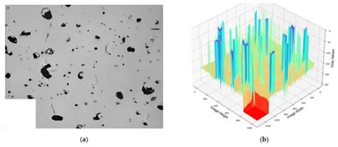 Simultaneous Pore Detection And Morphological Features Extraction In