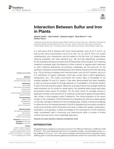 Pdf Interaction Between Sulfur And Iron In Plants
