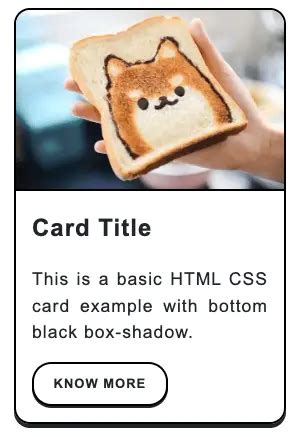 CSS Card Design 2 Bottom Box Shadow Coding Yaar
