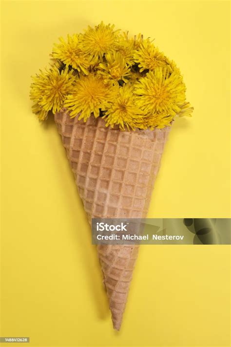 민들레 꽃다발은 노란색 바탕에 아이스크림 와플 콘에 있다 수직 방향 개념에 대한 스톡 사진 및 기타 이미지 개념 개념과 주제 계절 Istock