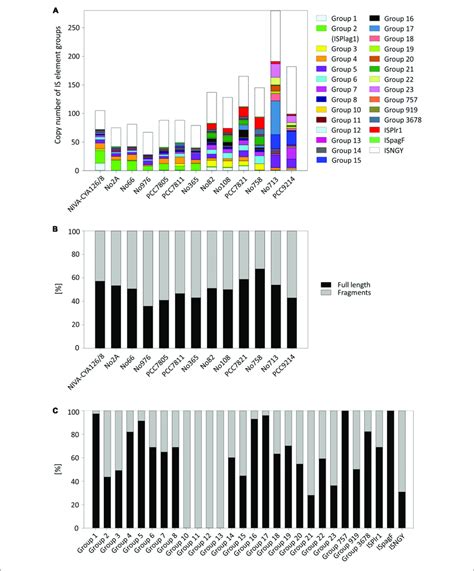 Occurrence And Frequency Of Insertion Sequence Is Elements Among 13