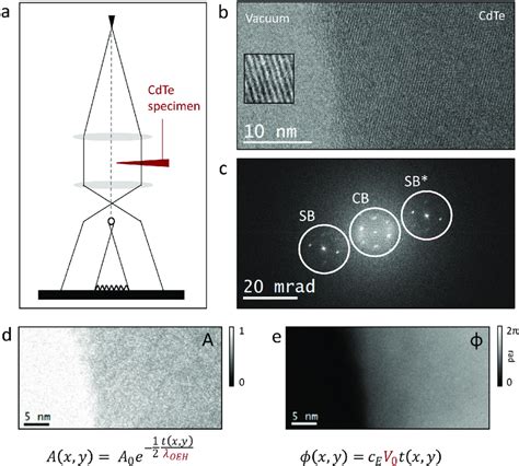 Illustration Of The Off Axis Holography Acquisition And Reconstruction Download Scientific