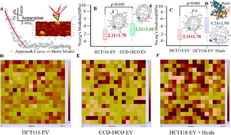 A A Sample Force−separation Profile Representing Afm Nanoindentation Download Scientific