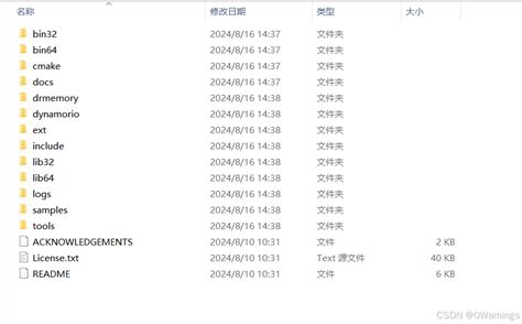 【二进制插桩】基于dynamorio的代码插桩方案 Csdn博客