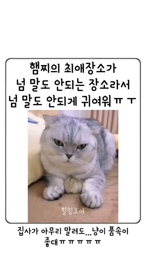 힐링조아 ㅋㅋㅋㅋ참교육 캐웃기넼ㅋㅋㅋㅋㅋ 힐링 좋아하는 사람은 좋아요 와 팔로우🤳🏻 부탁드립니다👉🏻 Healing
