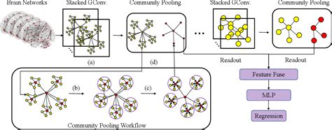 Figure 1 From Hierarchical Brain Embedding Using Explainable Graph Learning Semantic Scholar