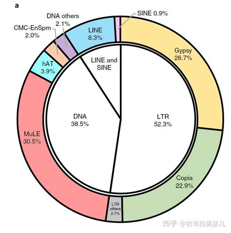 跟着nature Plants学作图：r语言ggforce做甜甜圈饼图展示基因组中转座子的比例 知乎