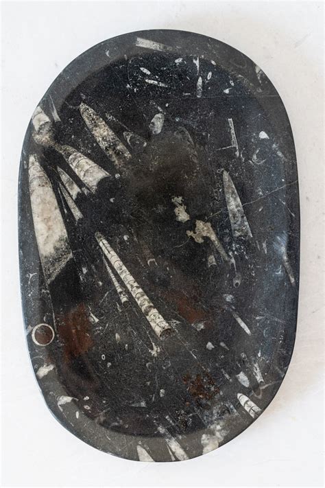 Vintage Oblong Fossilized Platter District Loom