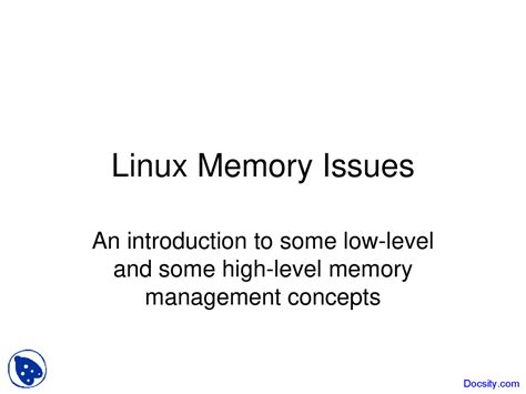 Linux Memory Issues Advanced System Programming Lecture Slides
