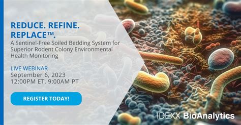 Rachel Tomlinson Leyden On Linkedin Reduce Refine Replace