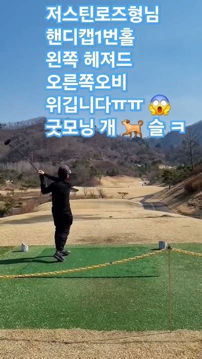 굿모닝 개 🐕 슬😱 루틴 Golf 맛집 페이드샷 골프 소맥 골프레슨 소주 골프스윙 드라이버샷레슨 슬라이스